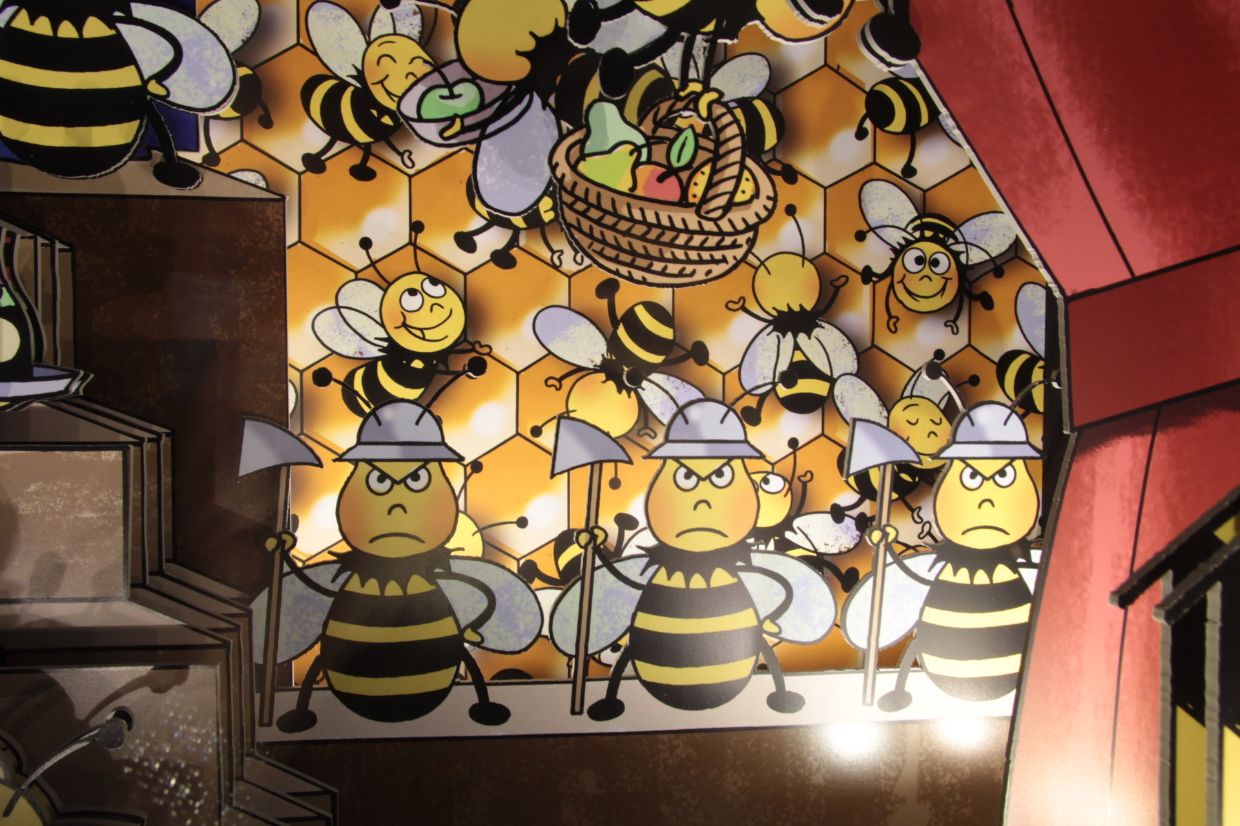 Display windows - Bee Paradise