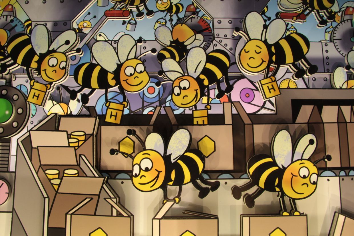 Display windows - Bee Paradise