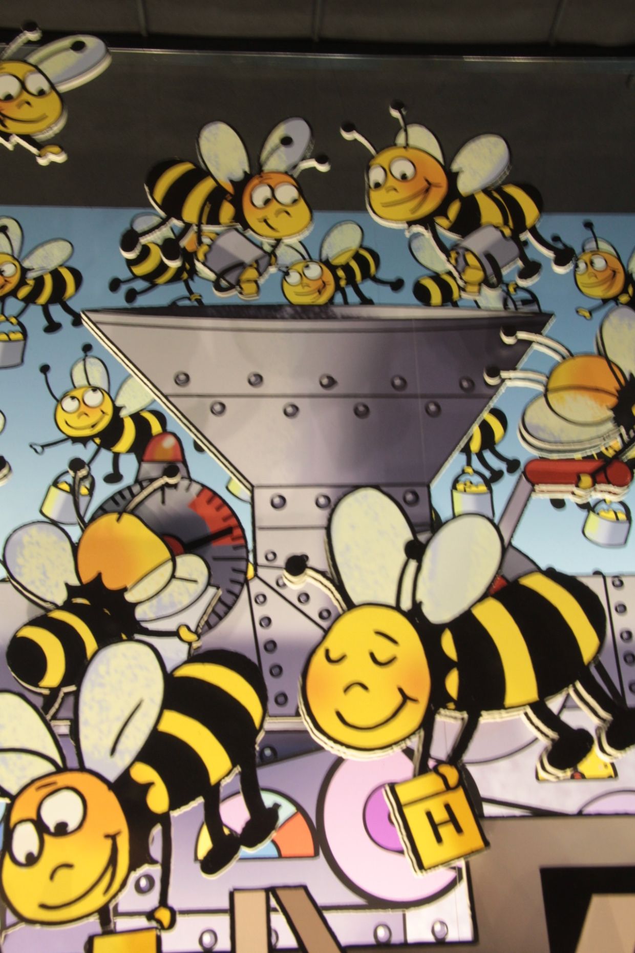 Display windows - Bee Paradise