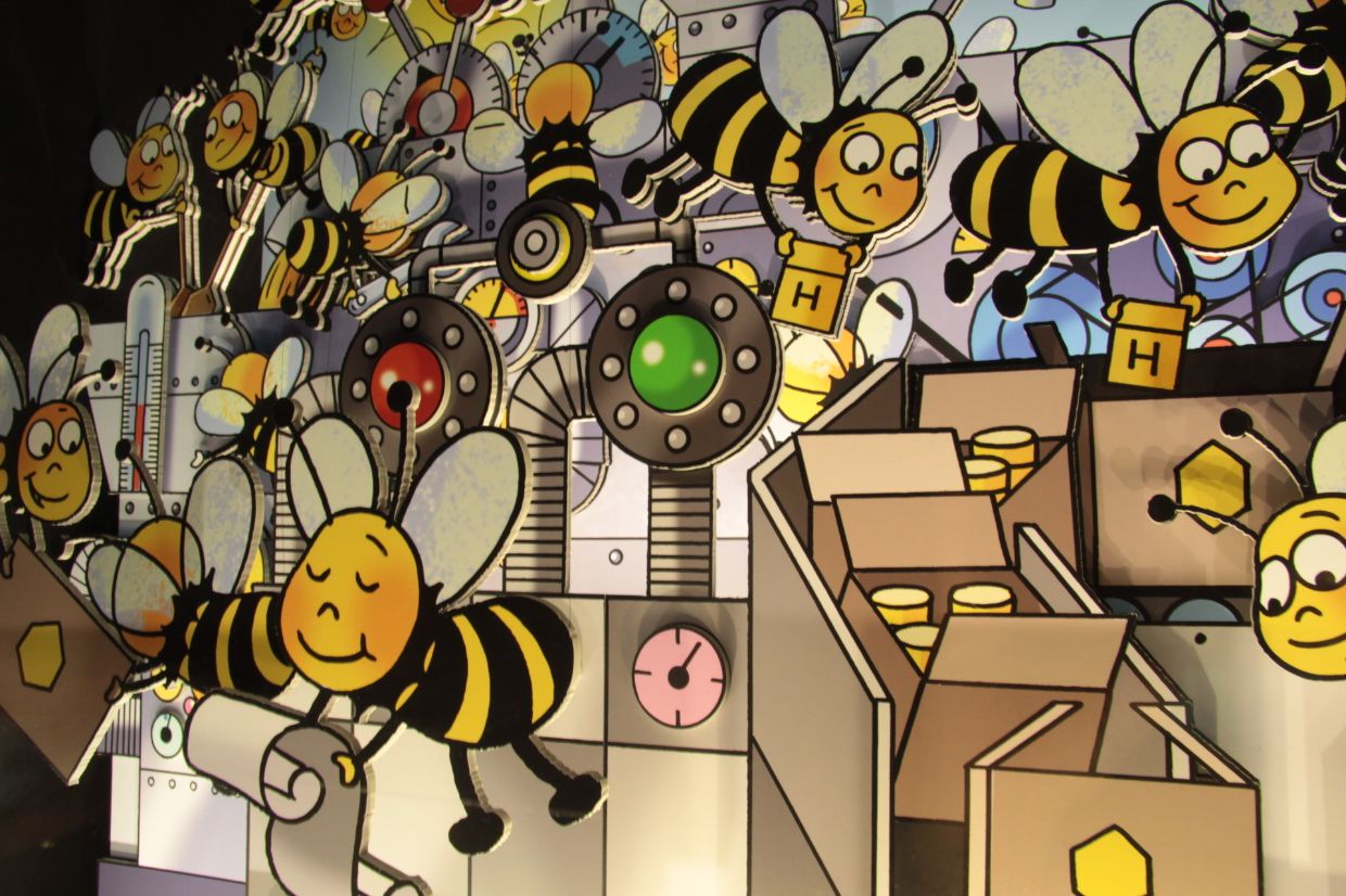 Display windows - Bee Paradise