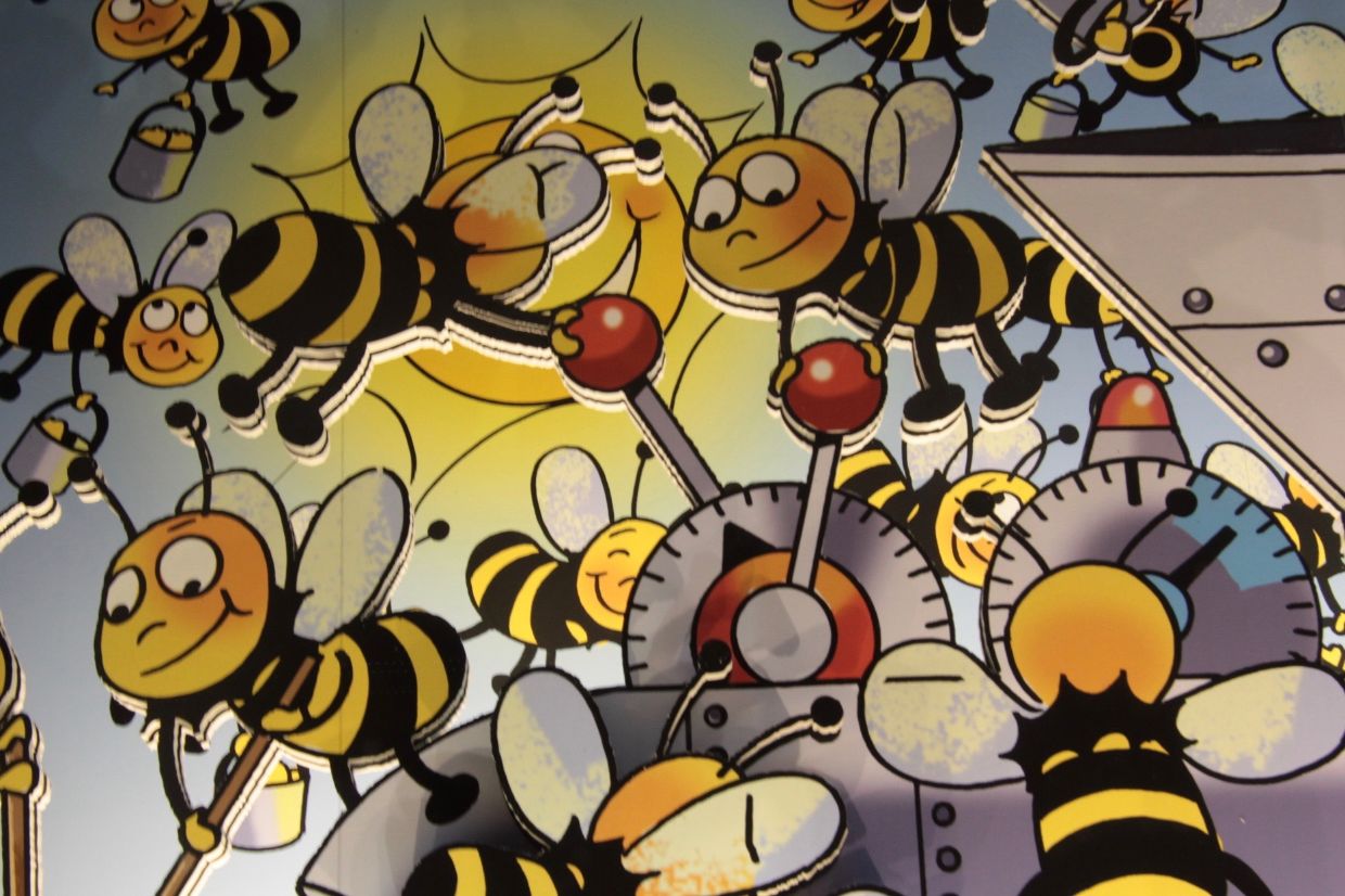 Display windows - Bee Paradise