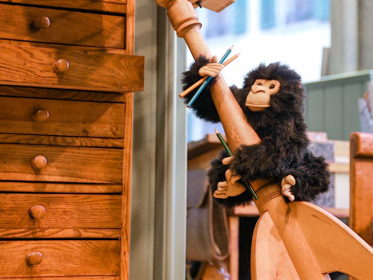 Display windows - Monkeys at school